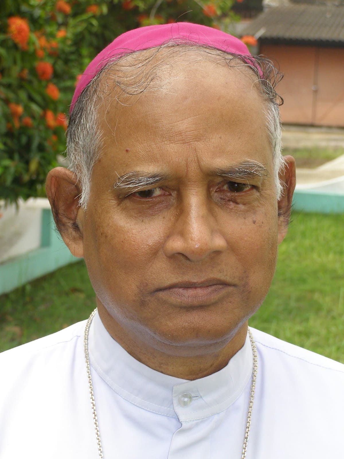 News | Catholic Connect